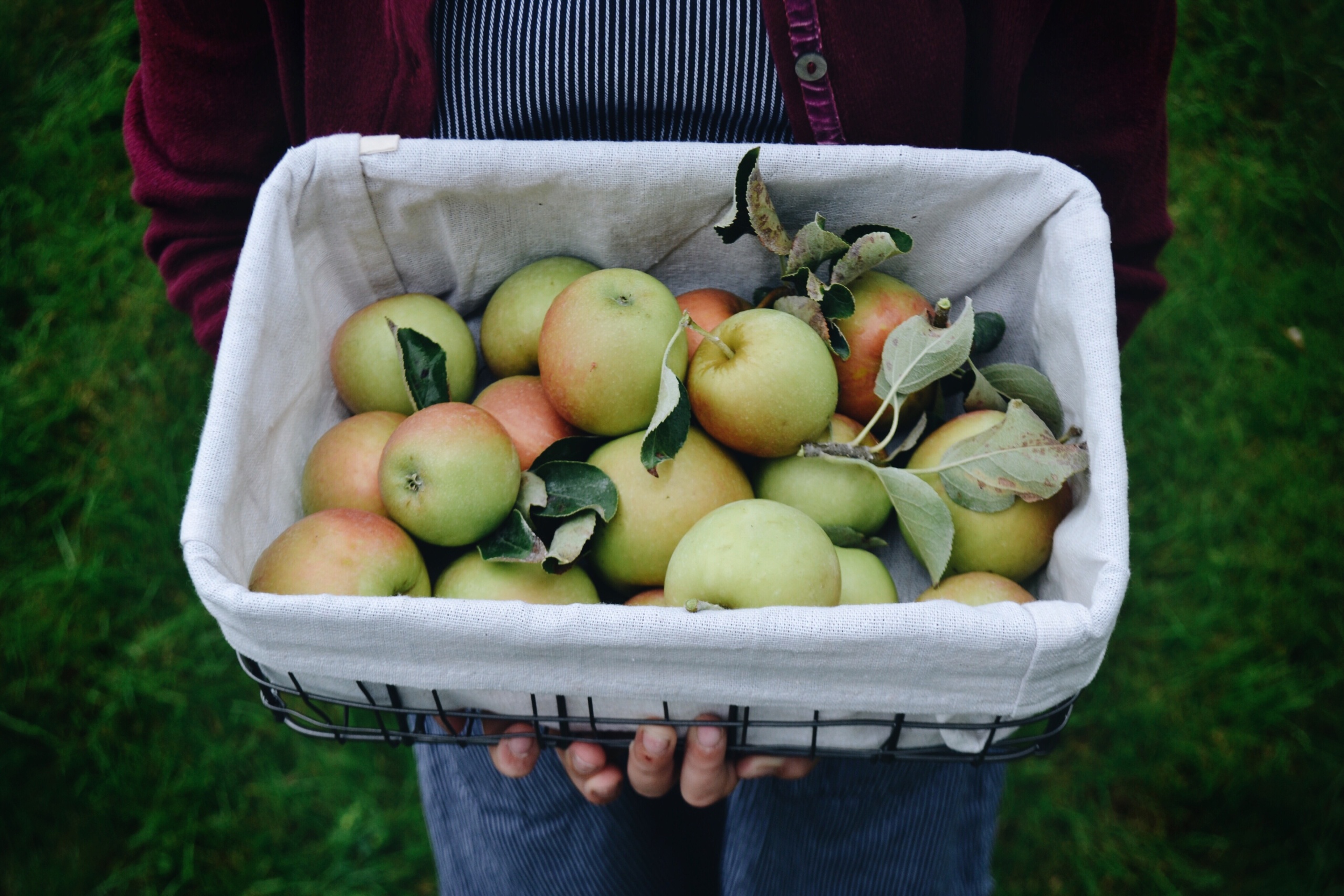 Obst für den Winter richtig aufbewahren - Baumschule Hemmelmeyer
